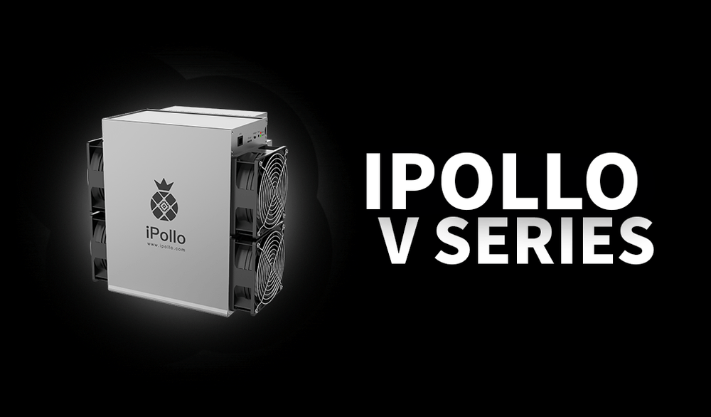 iPollo- asic miner – iPollo Store